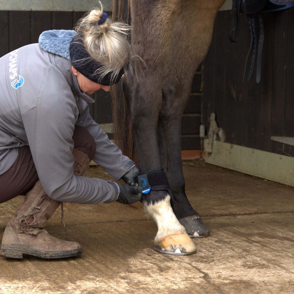 Exoskeleton Fetlock Boots | FEI Legal Fetlock Boots